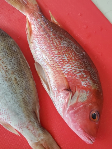 Grilled Red Snapper Escovitch - Carne Diem