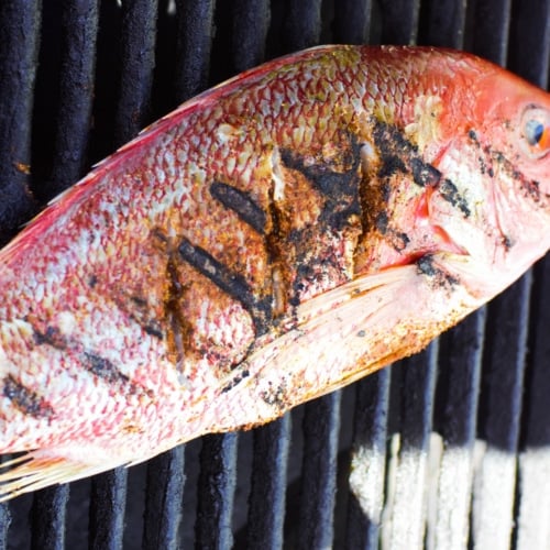 Grilled Red Snapper Escovitch - Carne Diem
